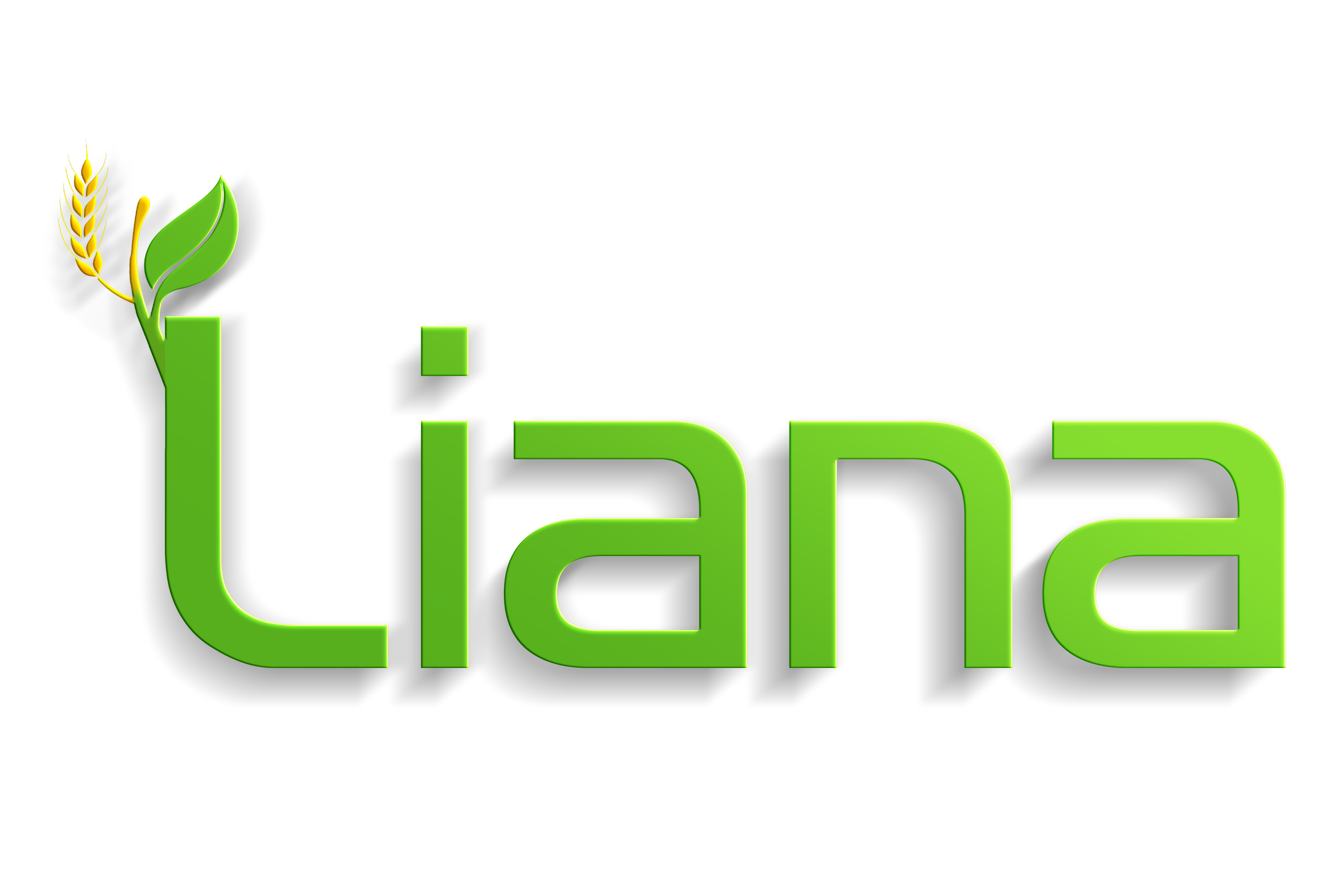 liana – Food Organization